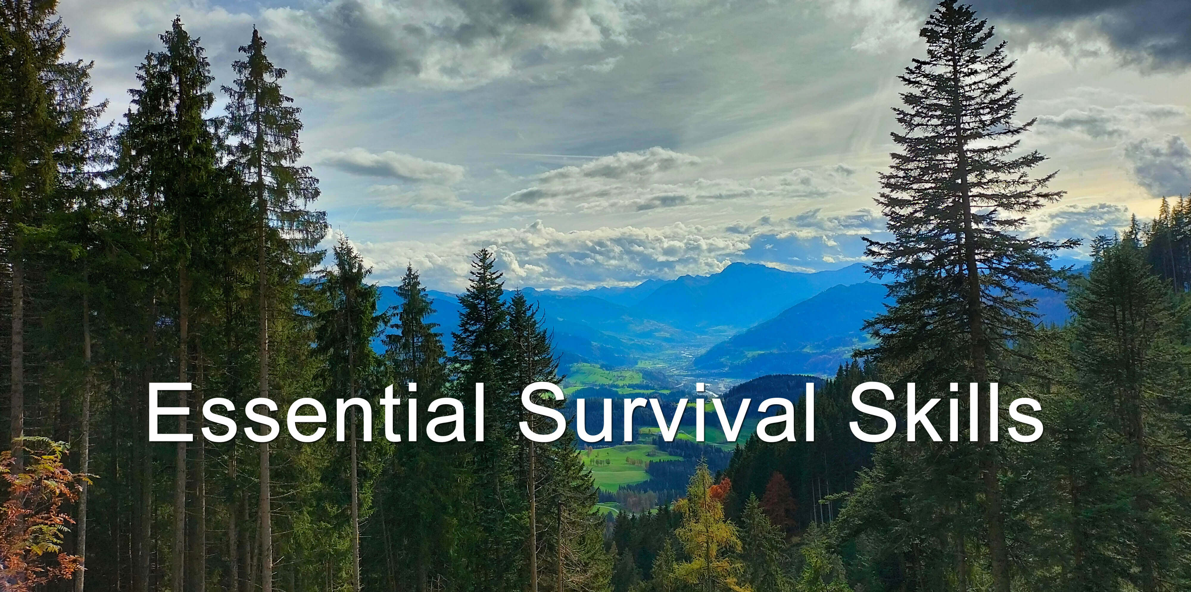 Essential Survival Skills – ArmaSkin
