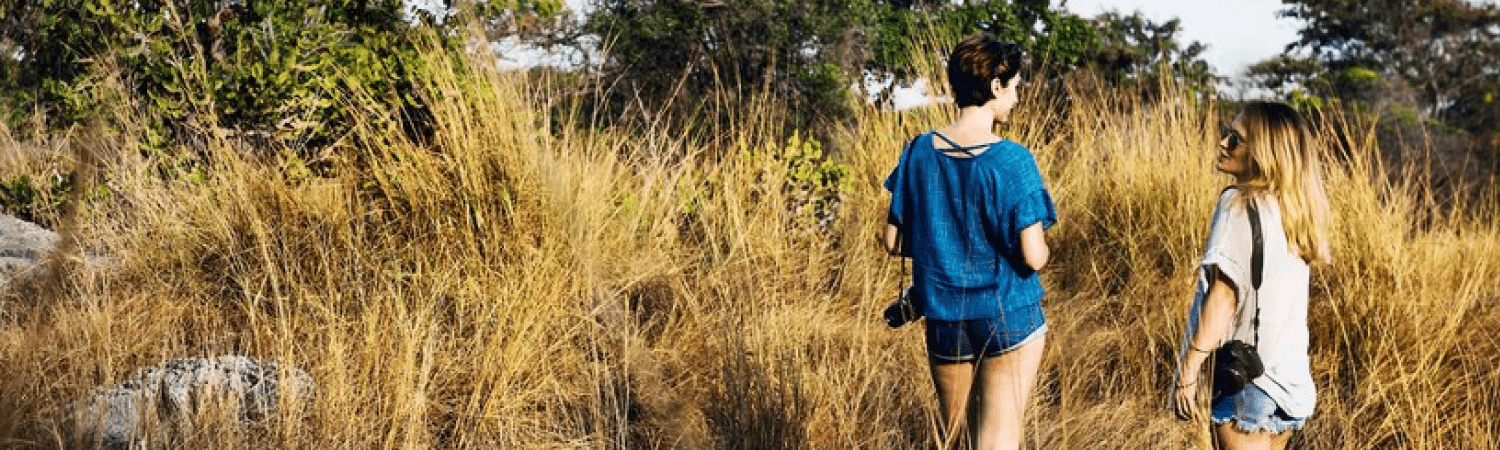 From Beach to Bush: The Complete Guide to NSW’s Bondi to Manly Walk ...